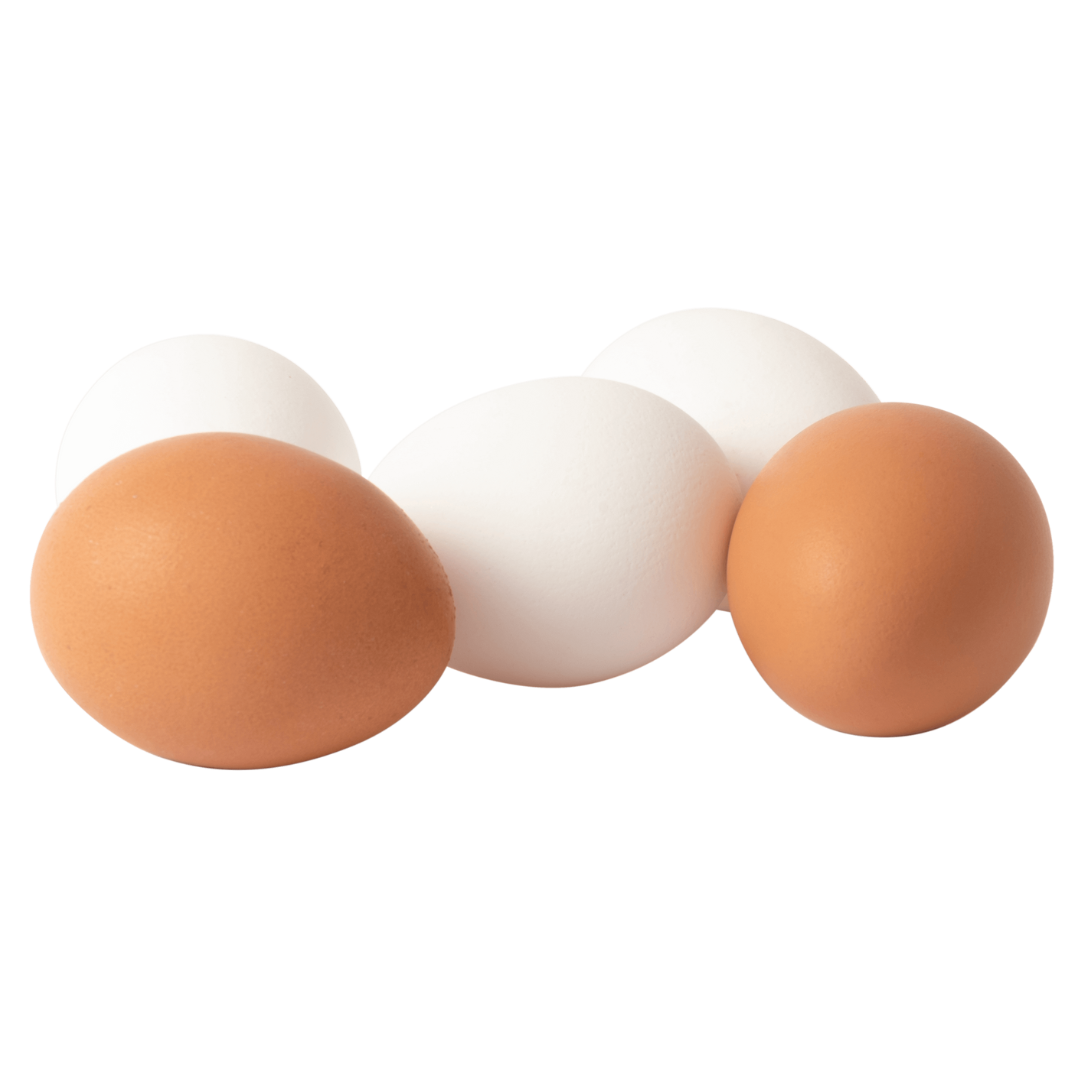 Ovos Líquidos – Ok Eggs